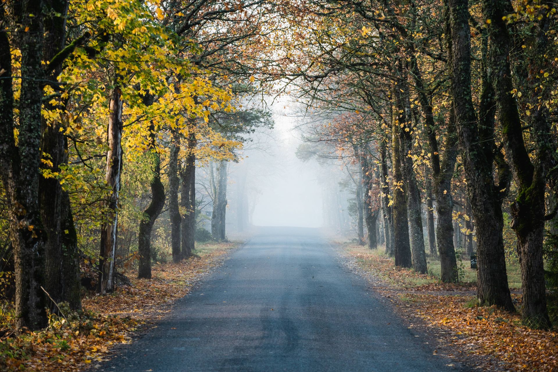 What to do in Estonia this autumn? | HEIA